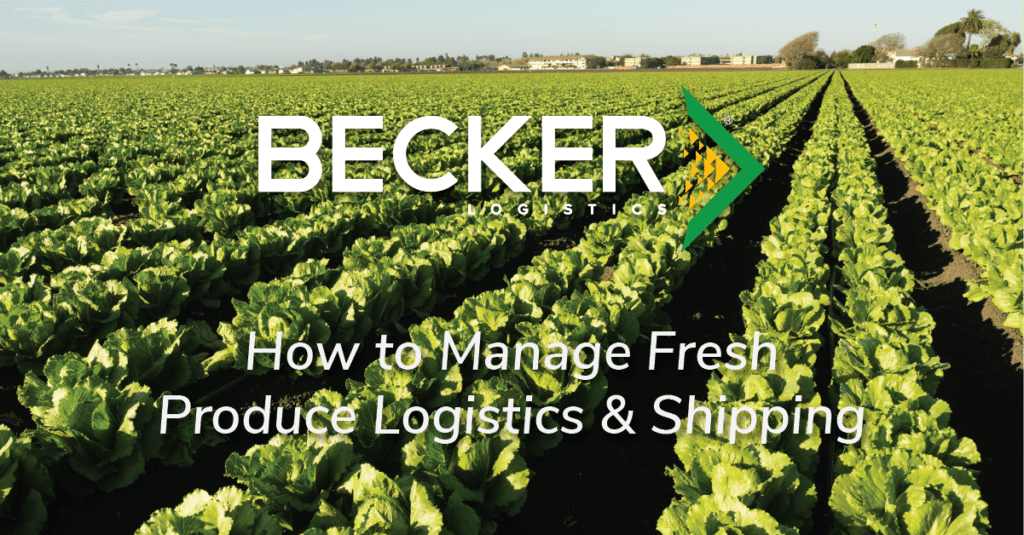 How to Manage Fresh Produce Logistics and Shipping - Becker Logistics